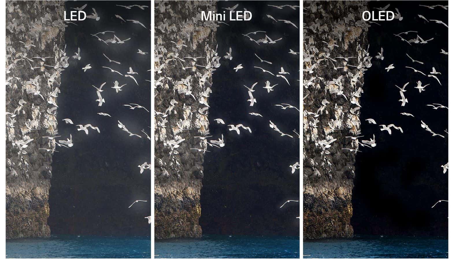 OLED o Neo QLED: cosa sono, differenze e quale TV scegliere?